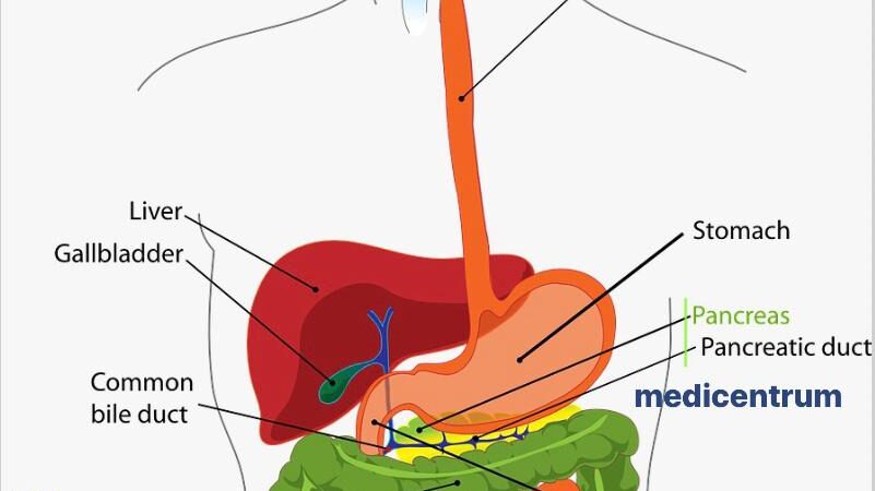 Gastrita: cauze, simptome, diagnostic, tratament - Medicentrum